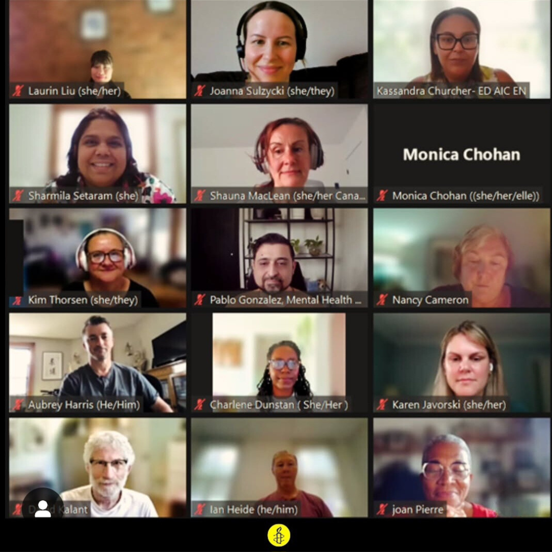 Amnesty International – Hamilton/Burlington ON Chapter – Defending ...